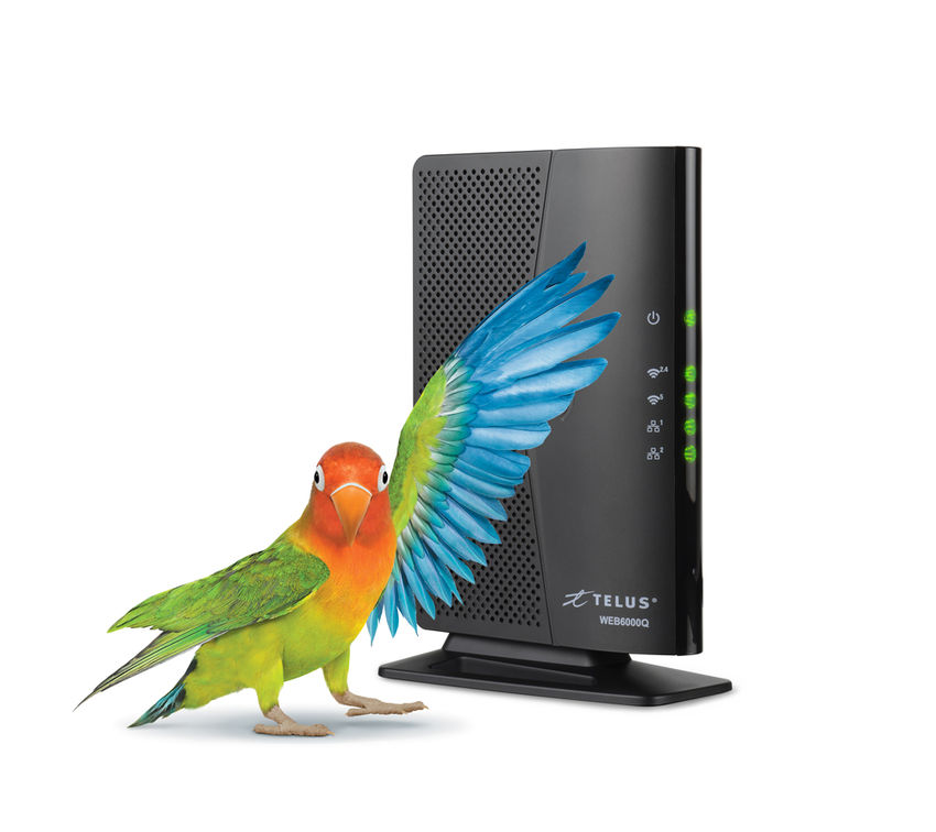 High Speed Internet service providers BC, Alberta | TELUS.com