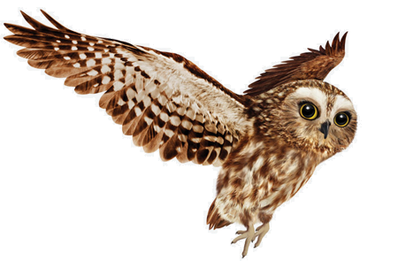 Réseau et couverture