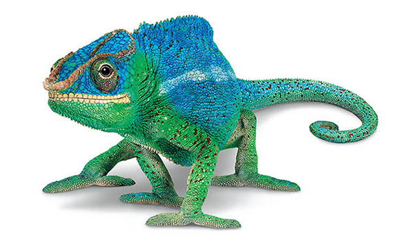 Switch phone companies - Join TELUS! | Mobility | TELUS.com Switch phone companies - Join TELUS! | Mobility | TELUS.com